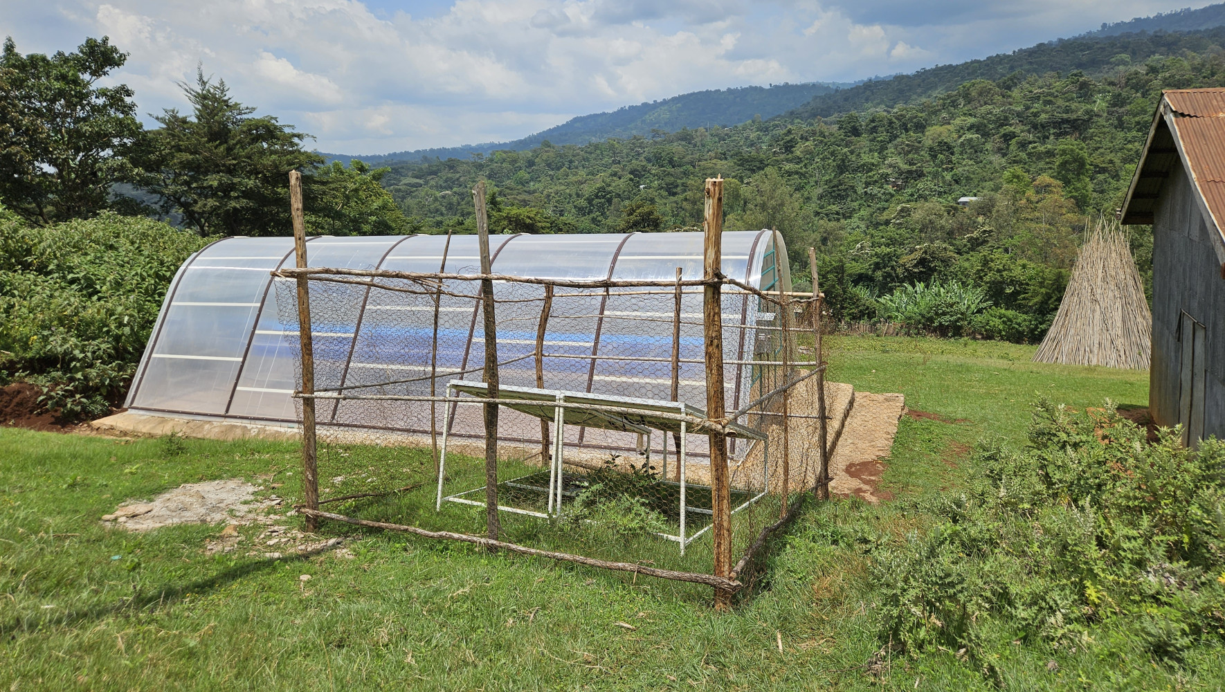Solar Dryers Boost Coffee Production In Ethiopia, Enhancing Quality And ...