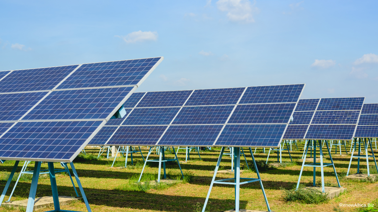 CEC and InnoVent’s 40 MW Solar Projects Set to Boost Power Reliability ...
